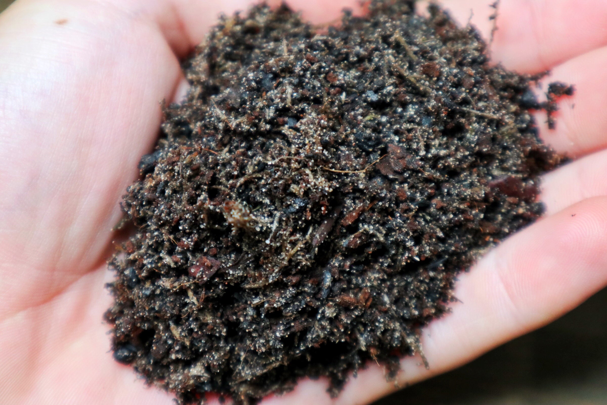 Substrate & Drainage – Terrarium Designs