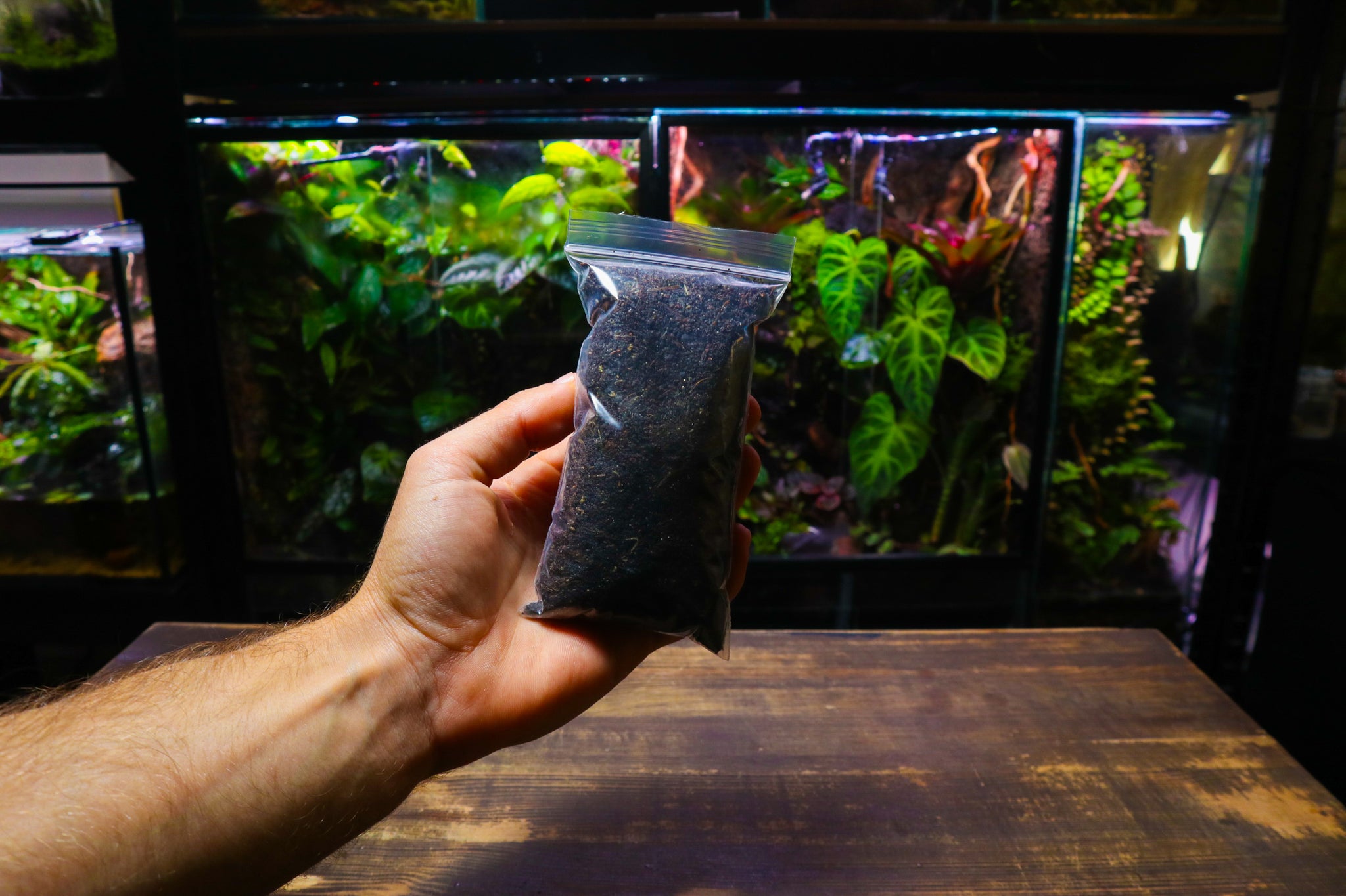 Premium Terrarium Substrate (UK Delivery Only) – Terrarium Designs