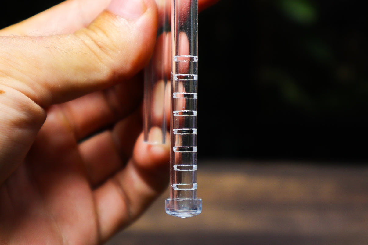 Micro Lily Pipes For Nano Aquariums – Terrarium Designs