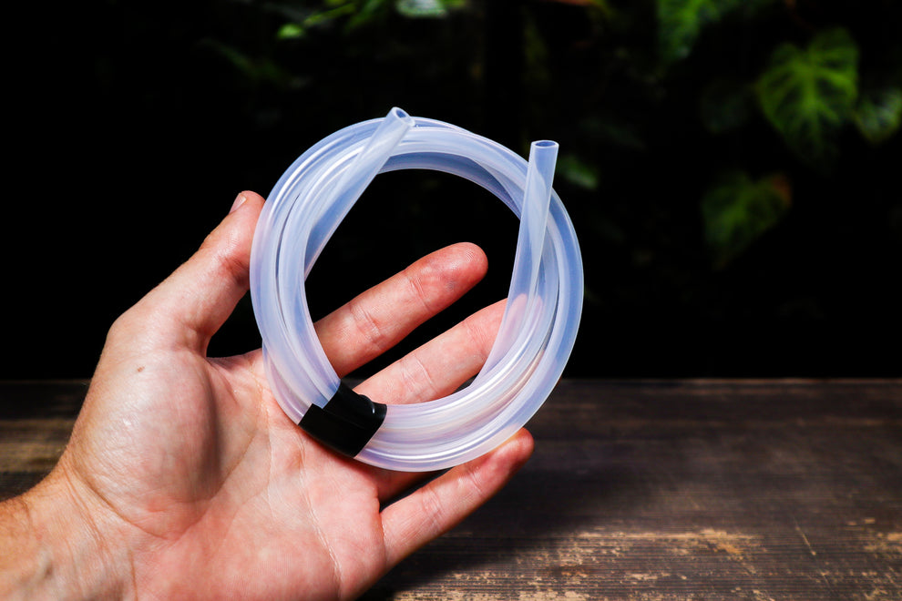 Micro Lily Pipes For Nano Aquariums – Terrarium Designs