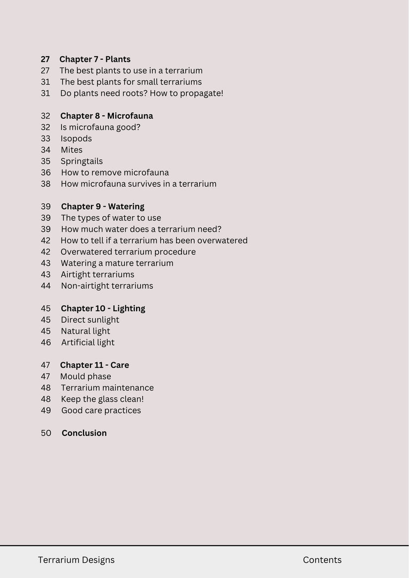 How To Make a Terrarium - A Complete Beginners Guide – Terrarium Designs