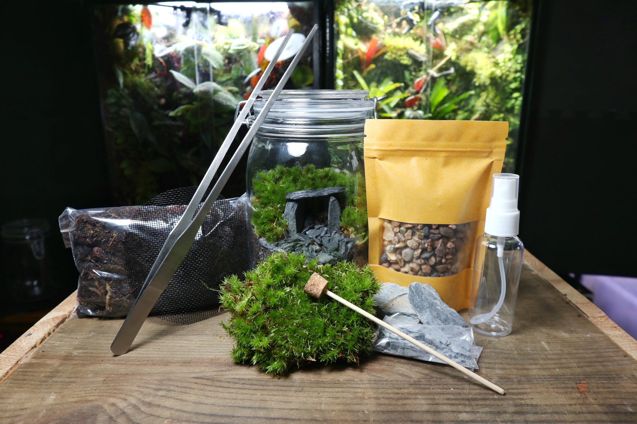 Cave Terrarium Kit - Easy Terrarium Kit For Sale UK – Terrarium Designs