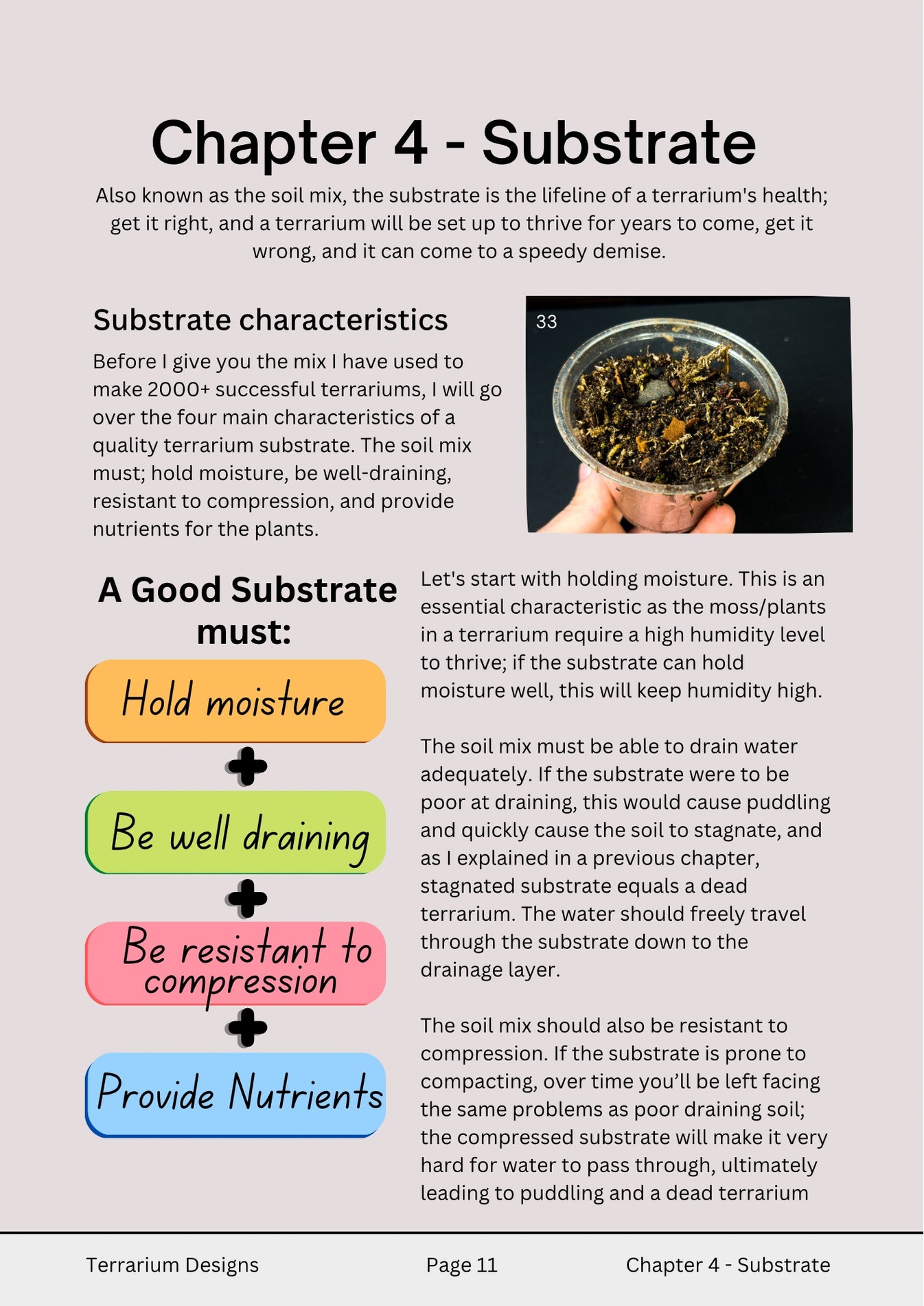 How To Make a Terrarium - A Complete Beginners Guide – Terrarium Designs